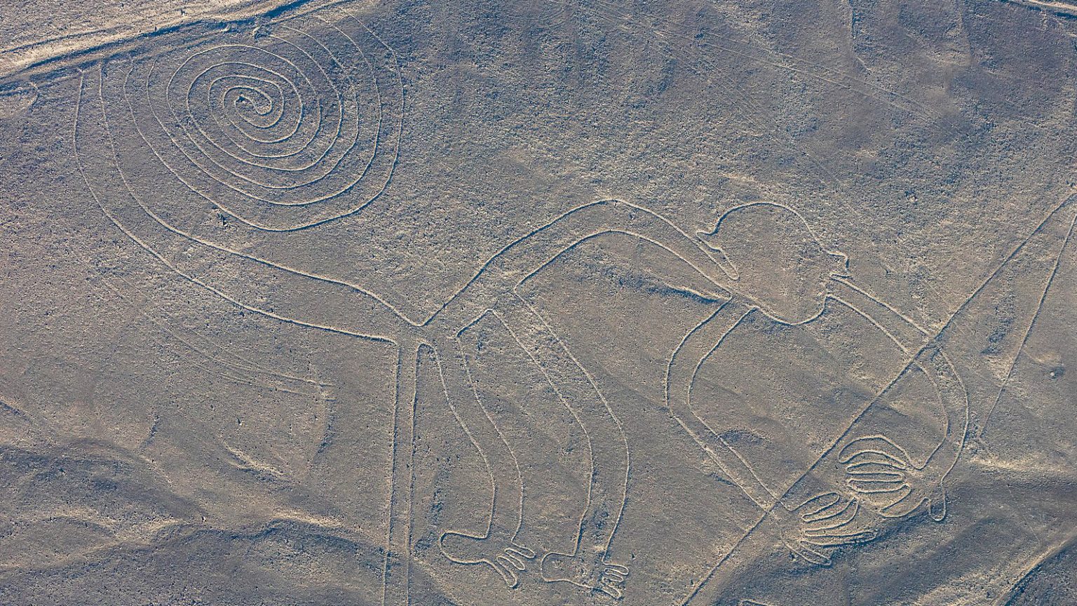 ᐉ Mono de las Líneas de Nazca: Misterios Revelados ️